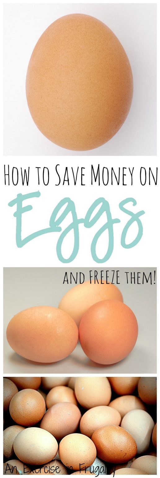 Save Money on Eggs - An Exercise in Frugality