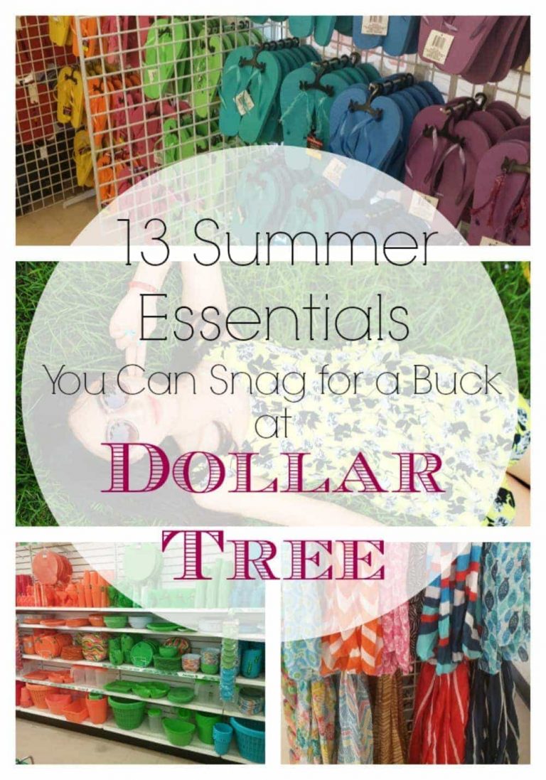 fun summer finds at dollar tree