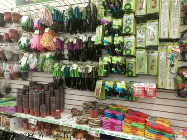 fun summer finds at dollar tree