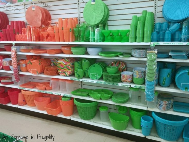 fun summer finds at dollar tree